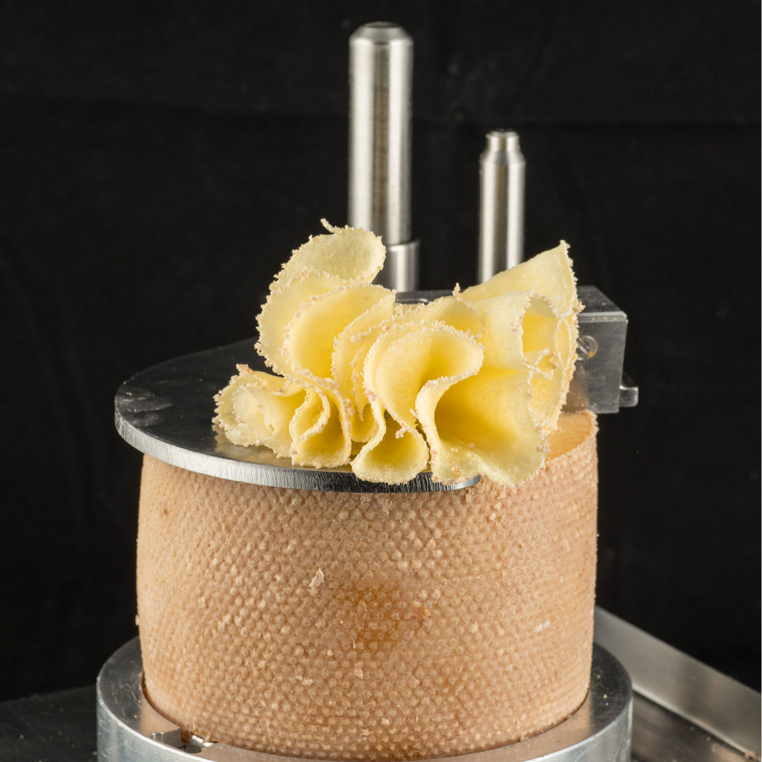 Formaggio Tête de Moine DOP - La Casa del Formaggio a Parma